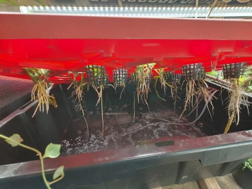 17 Easy DIY Plant Propagator Ideas That Actually Work Wonders