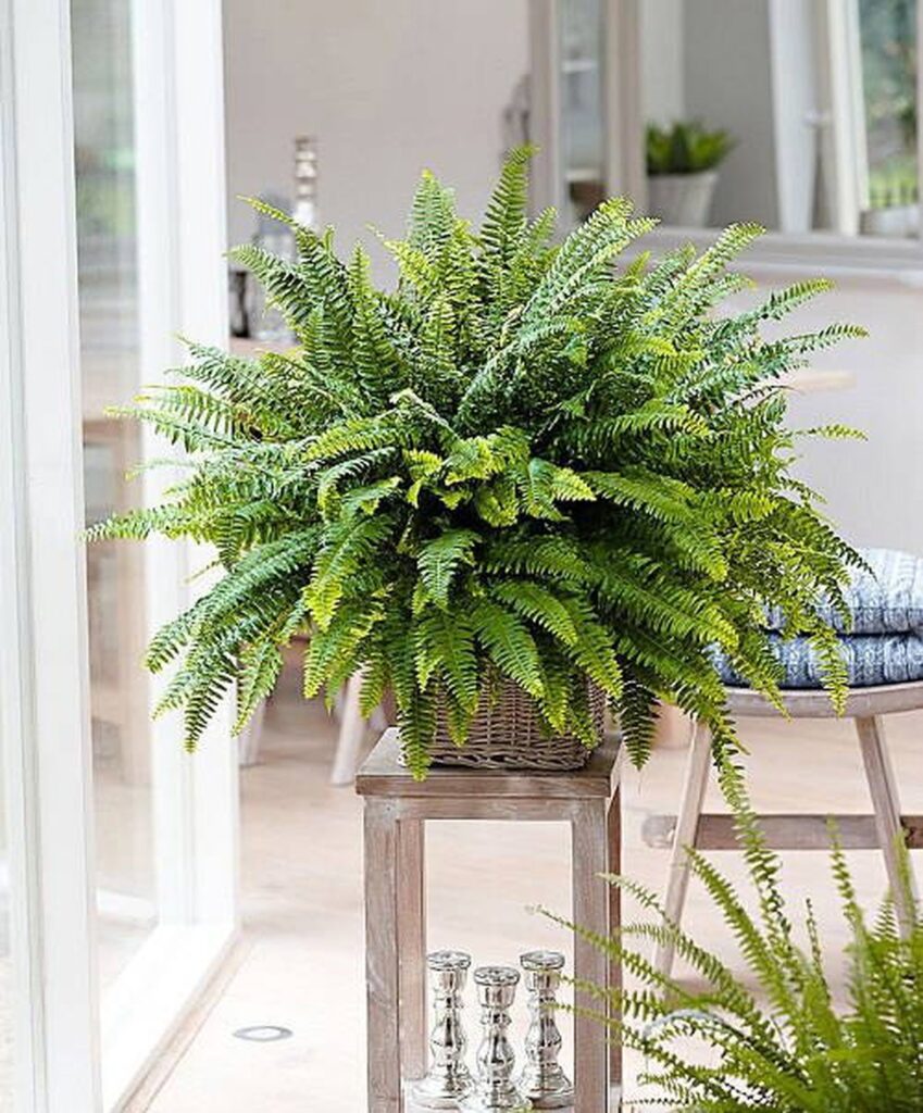 34 Delightful Child-Friendly Plants to Grow or Avoid