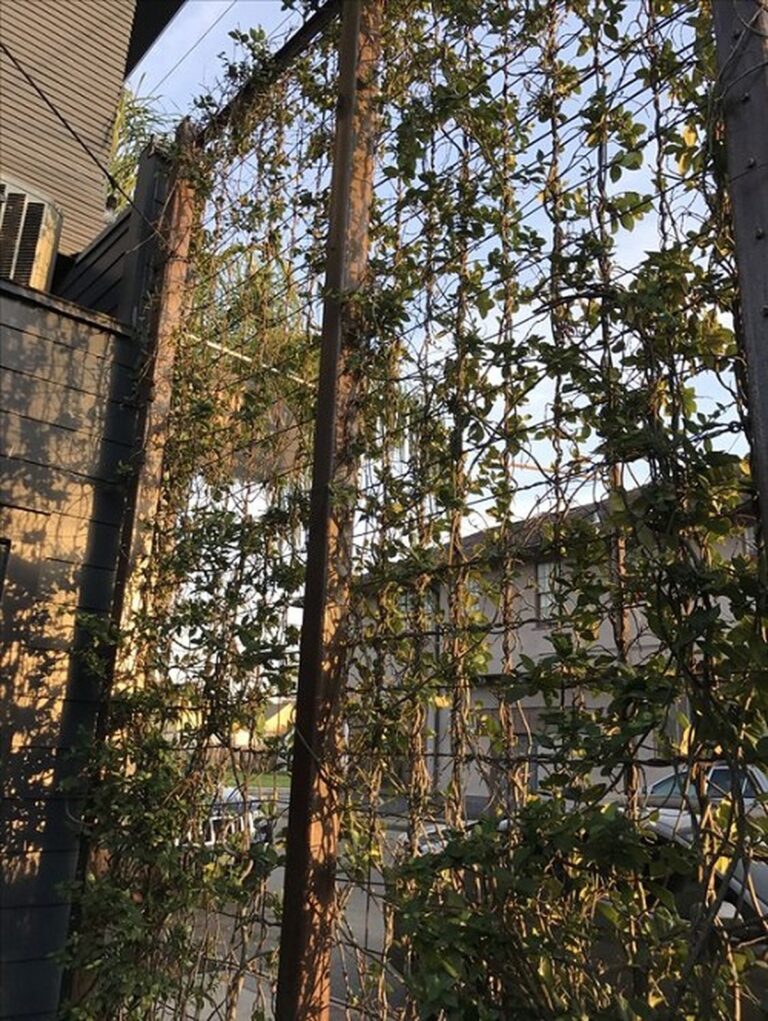 29 Ideally Rustic Fence Ideas That Transform Any Space