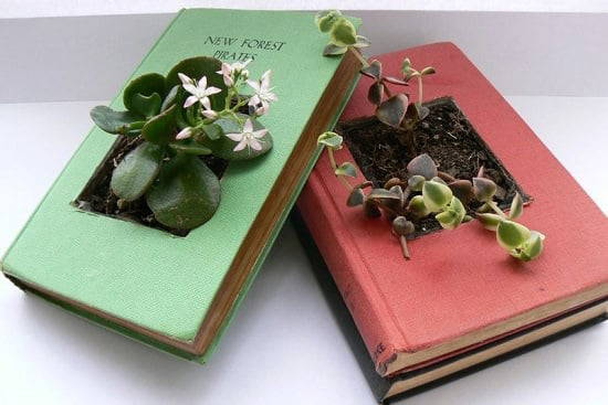 11 Enchanting DIY Book Planter Ideas That Bring Nature Home