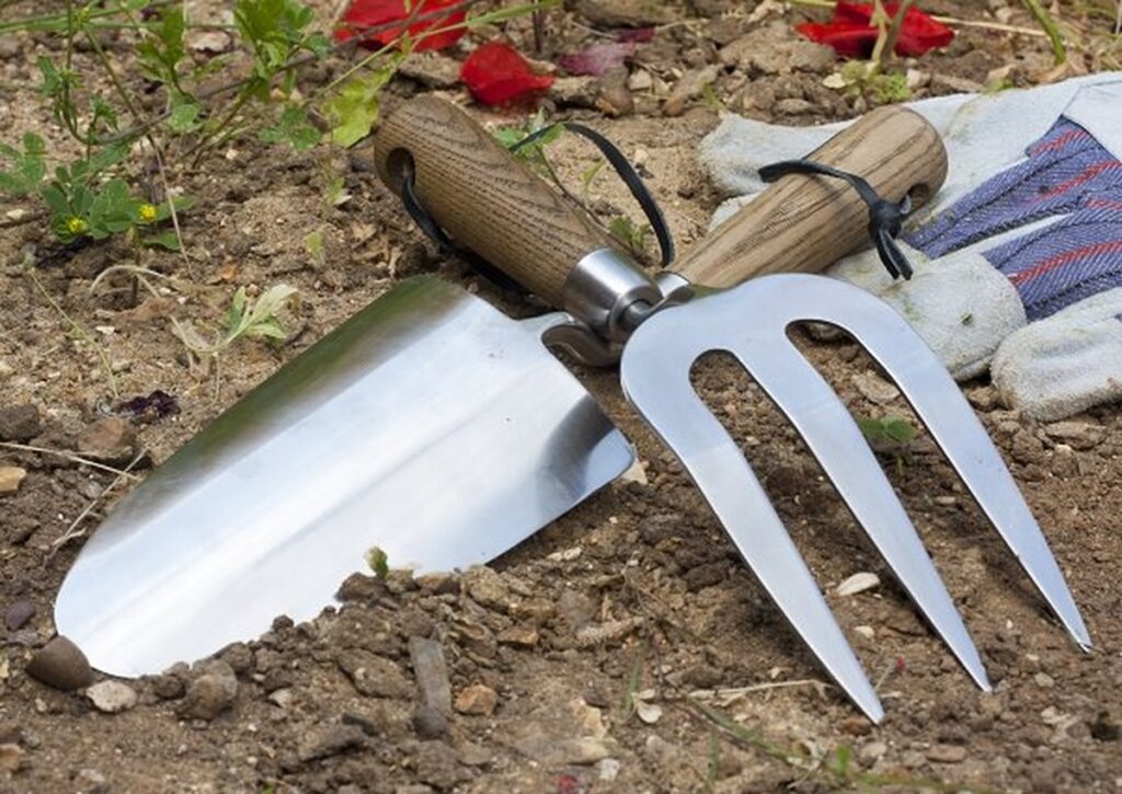 8 Brilliant Milk Uses in the Garden That Actually Work
