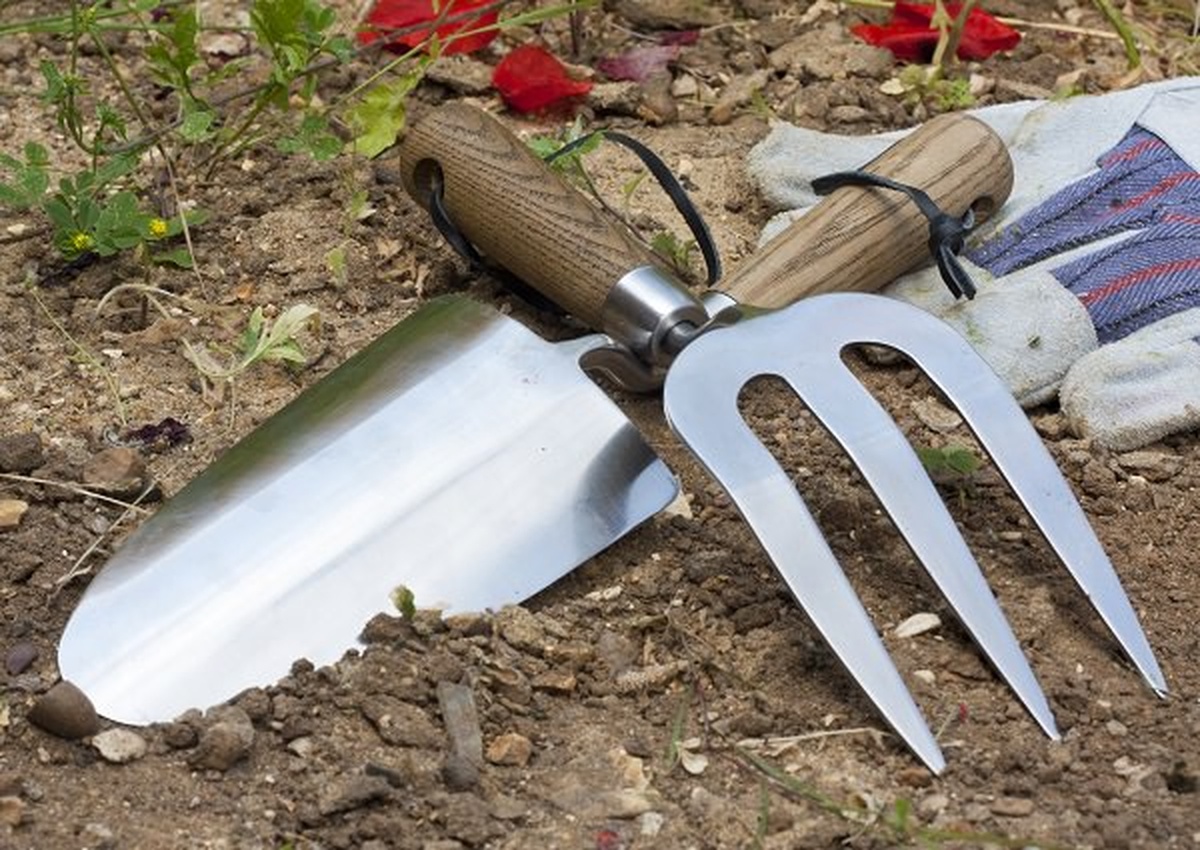 8 Brilliant Milk Uses in the Garden That Actually Work