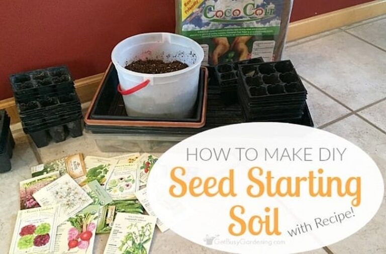 26 Clever DIY Seed Starting Hacks That Save Money and Time