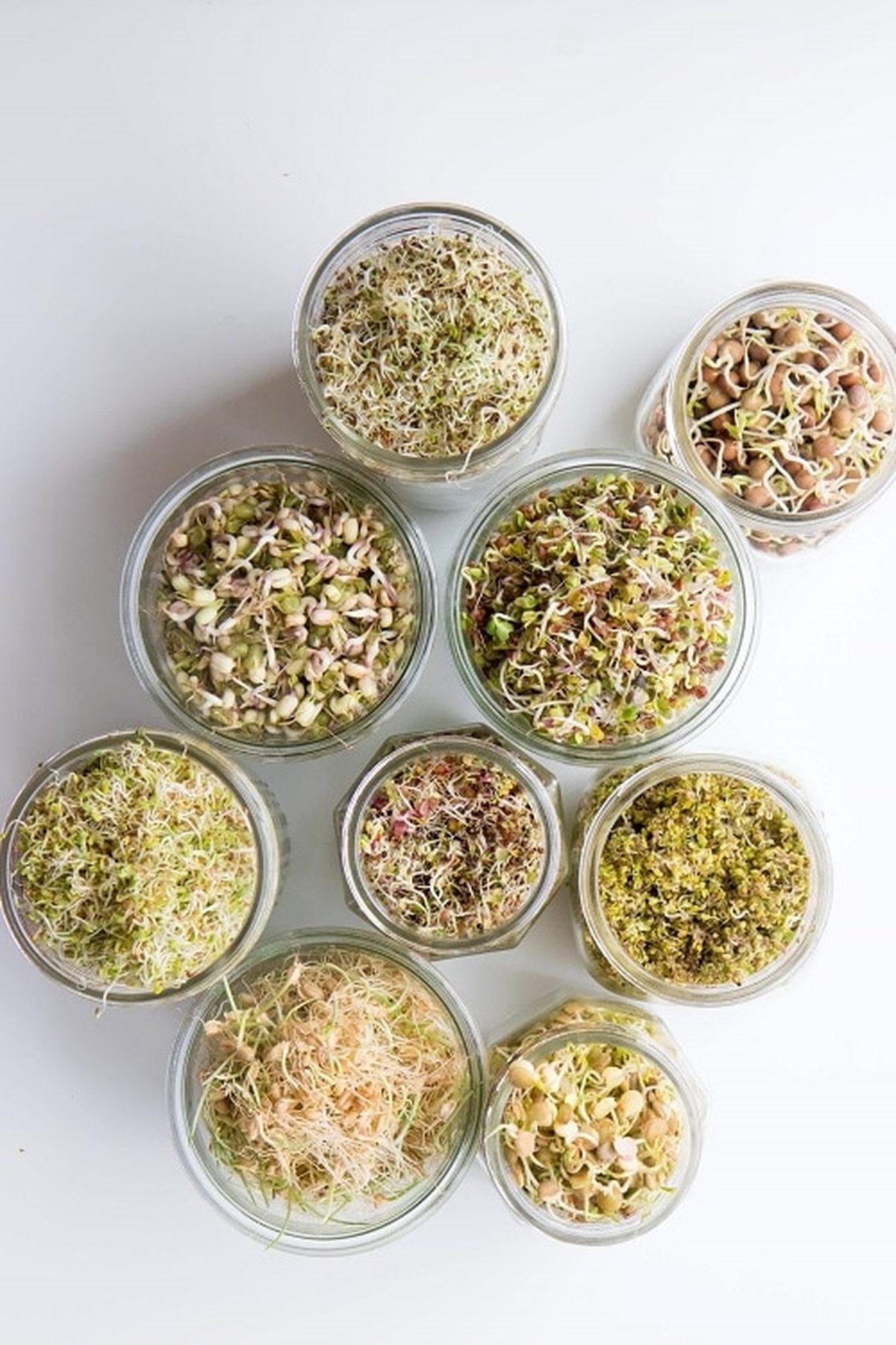 6 Easy Ways to Start Growing Sprouts at Home