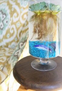 25 Delightful DIY Indoor Water Garden Ideas for Green Homes