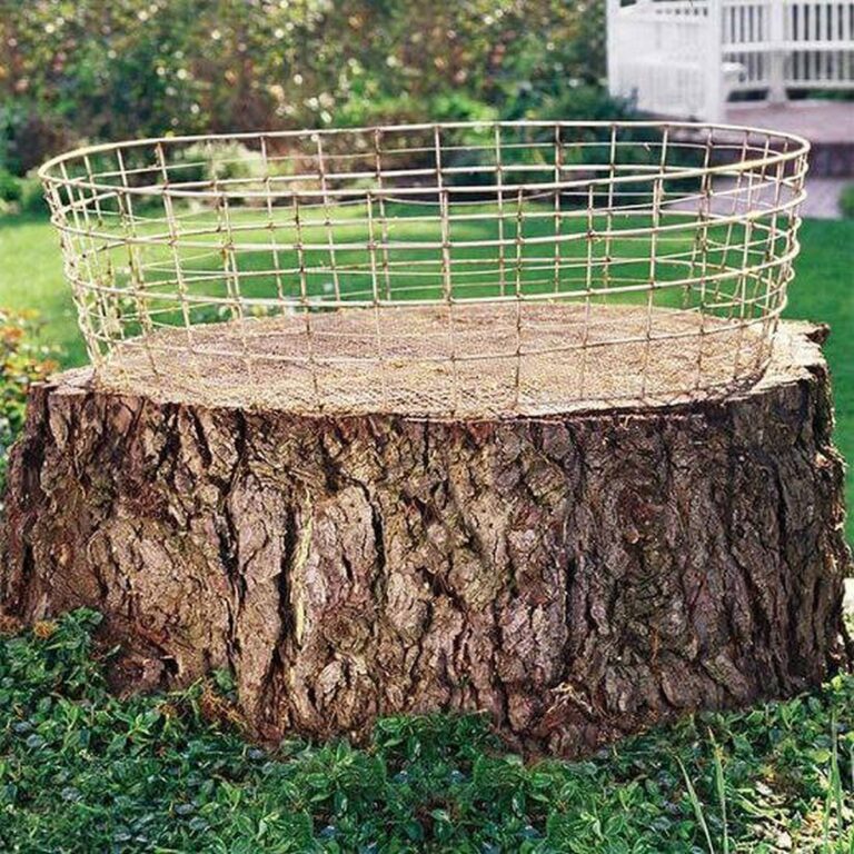 20 Charming Things to Do with Tree Stumps for Home Magic