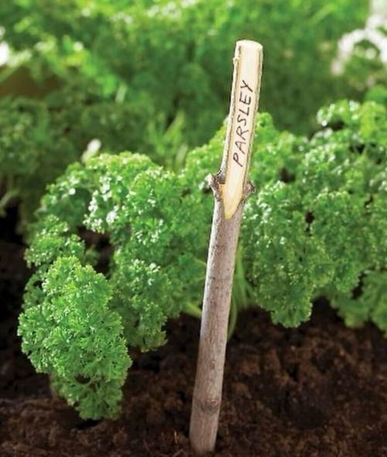 20 Magical Garden Projects Using Sticks and Twigs to Try Today