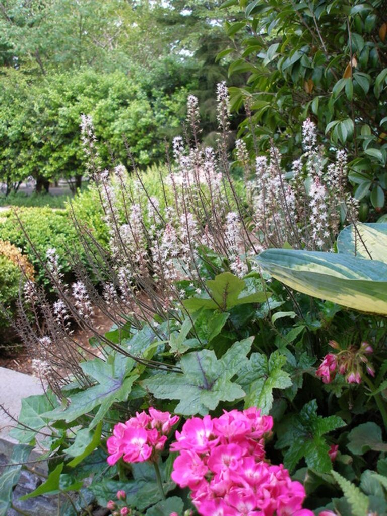 26 Beautiful Perennial Combinations That Transform Gardens