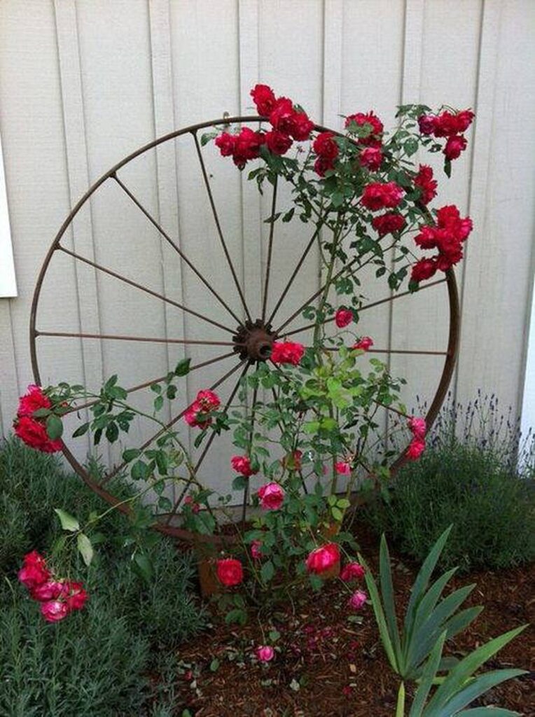 26 Beautiful DIY Rose Trellis Ideas for Your Garden