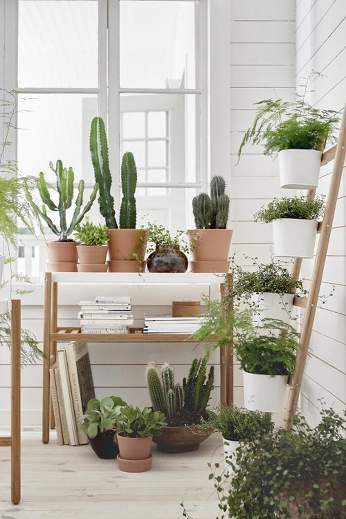 25 Gorgeous Indoor Plant Stands Ideas That Brighten Any Home