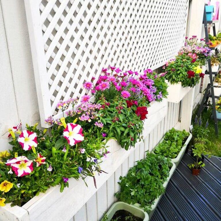 14 Simple Container Garden Design Ideas for a Lovely Outdoor Space