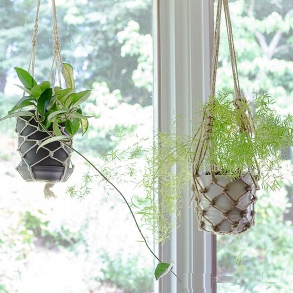 33 Gorgeous Hanging Plants for Front Windows to Brighten Your Home
