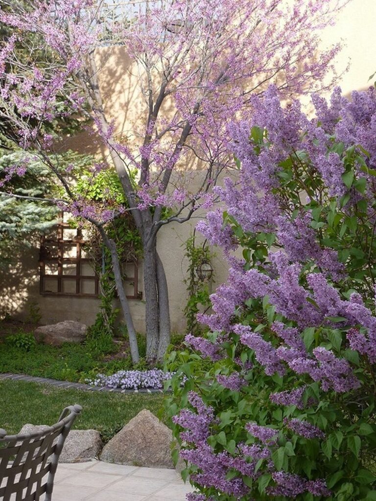 22 Beautiful French Flowers To Brighten Up Your Garden Today