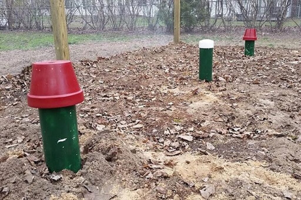 19 Clever In Ground Compost Bin Ideas That Actually Work