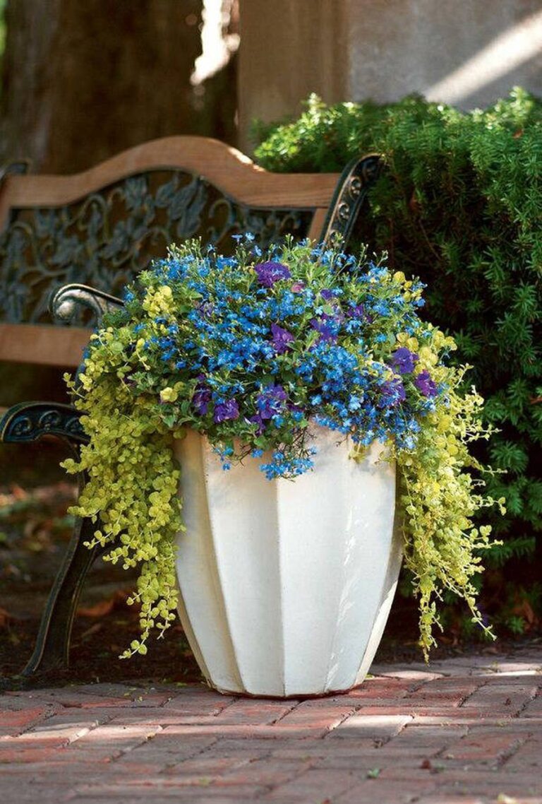 36 Stunning Blue Flowers That Thrive Beautifully in Containers