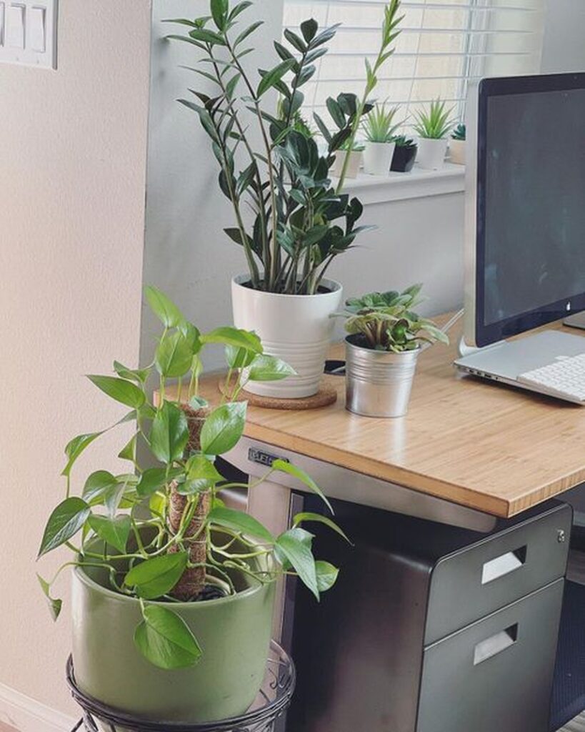 27 Stunning Ways IKEA Pots Transform Your Indoor Plants