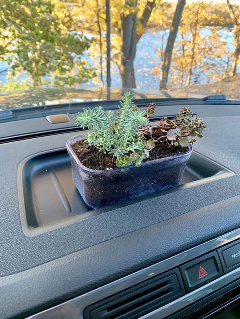 16 Brilliant Car Gardening Ideas to Make Your Ride Bloom