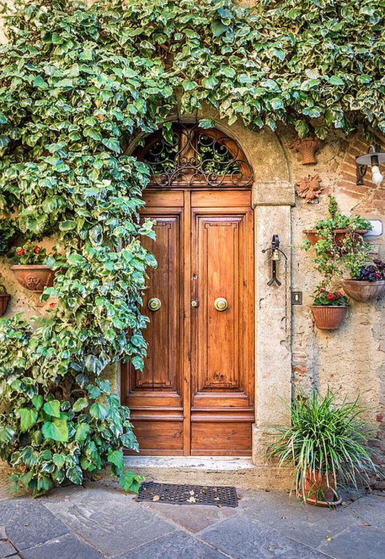 40 Charming Ways to Display Vines Both Indoors and Outdoors