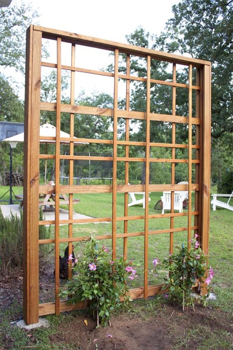 26 Simple and Creative DIY Bean Trellis Ideas for Your Garden