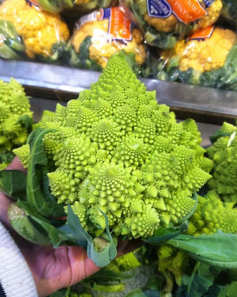20 Edible Flowers that are Vegetables - Cook These Blooms Today!