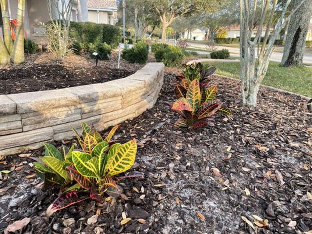 25 Breathtaking Landscaping with Croton Pictures to Inspire