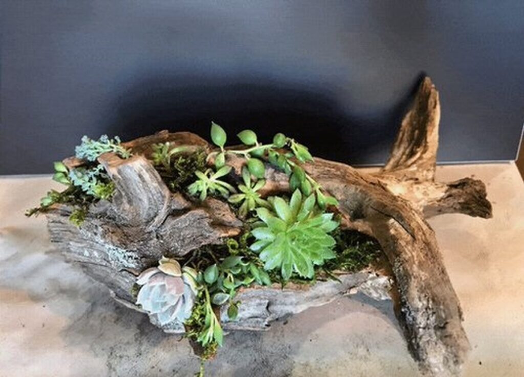 22 Charming DIY Garden Decor Ideas Using Tree Branches