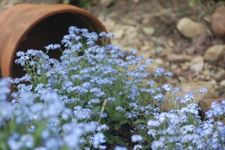 16 Lovely DIY Clay Pot Ideas for Garden That Will Impress Everyone