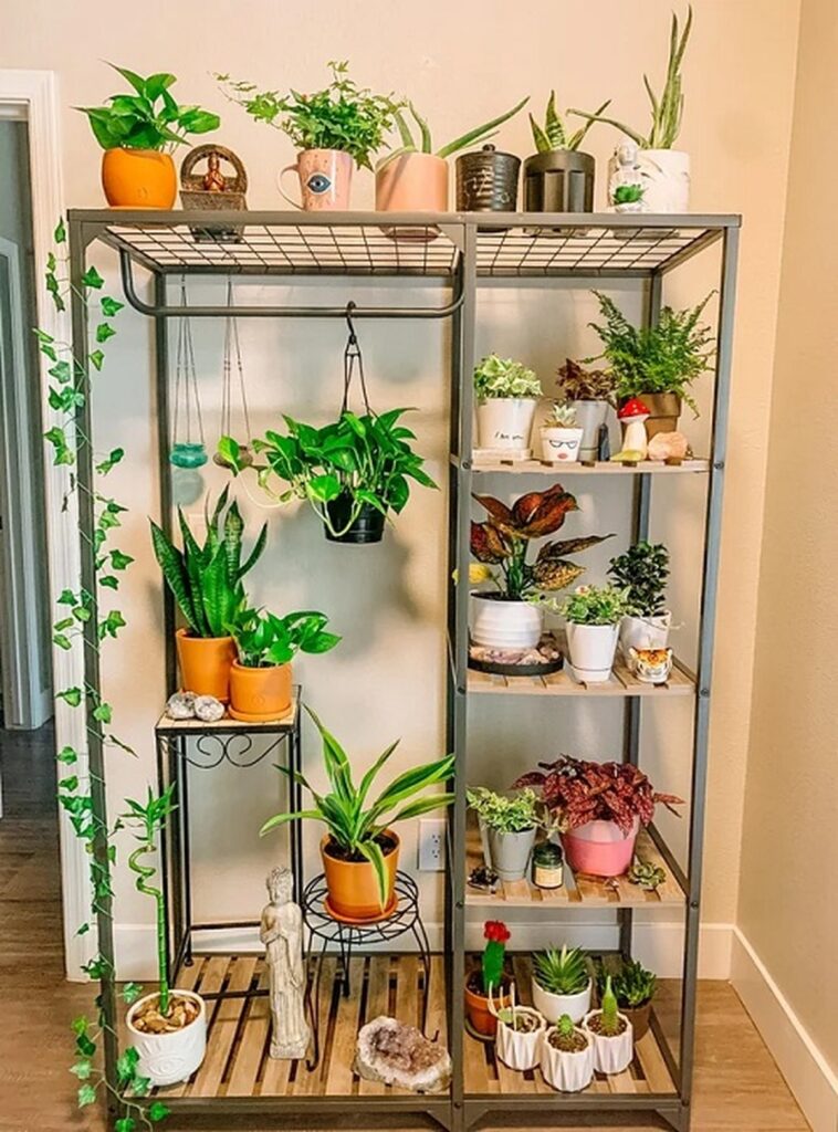 25 Gorgeous Indoor Plant Stands Ideas That Brighten Any Home