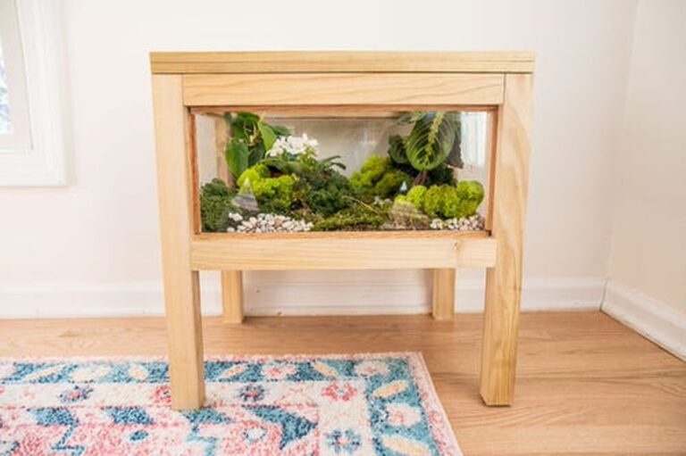 21 Stunning Terrarium Table Ideas That Bring Nature Indoors