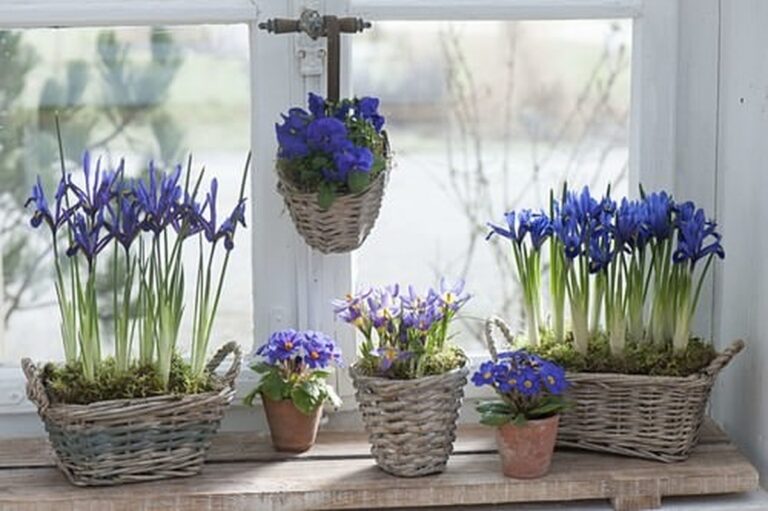26 Enchanting Indoor Windowsill Flower Garden Ideas for Home Bliss