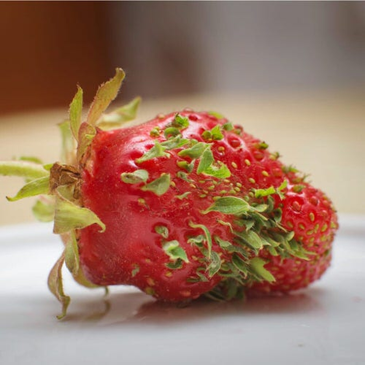 16 Terrifying Images of Fruits & Veggies Sprouting Anywhere