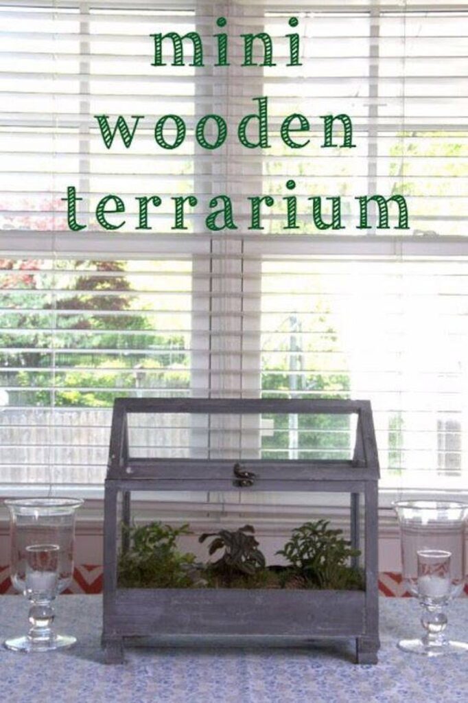 53 Creative DIY Terrarium Ideas That Wow Every Plant Lover