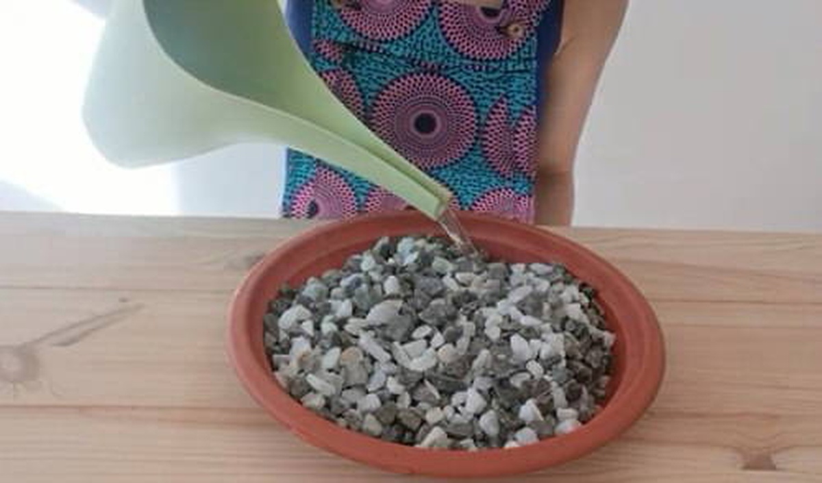 5 Enchanting DIY Orchid Humidity Tray Ideas Anyone Can Make