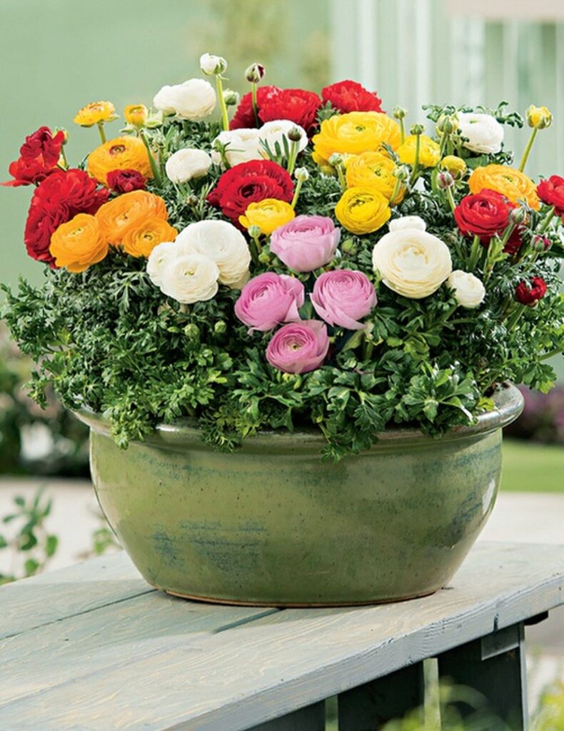 18 Beautiful Sacred Plants That Inspire Wonder Worldwide