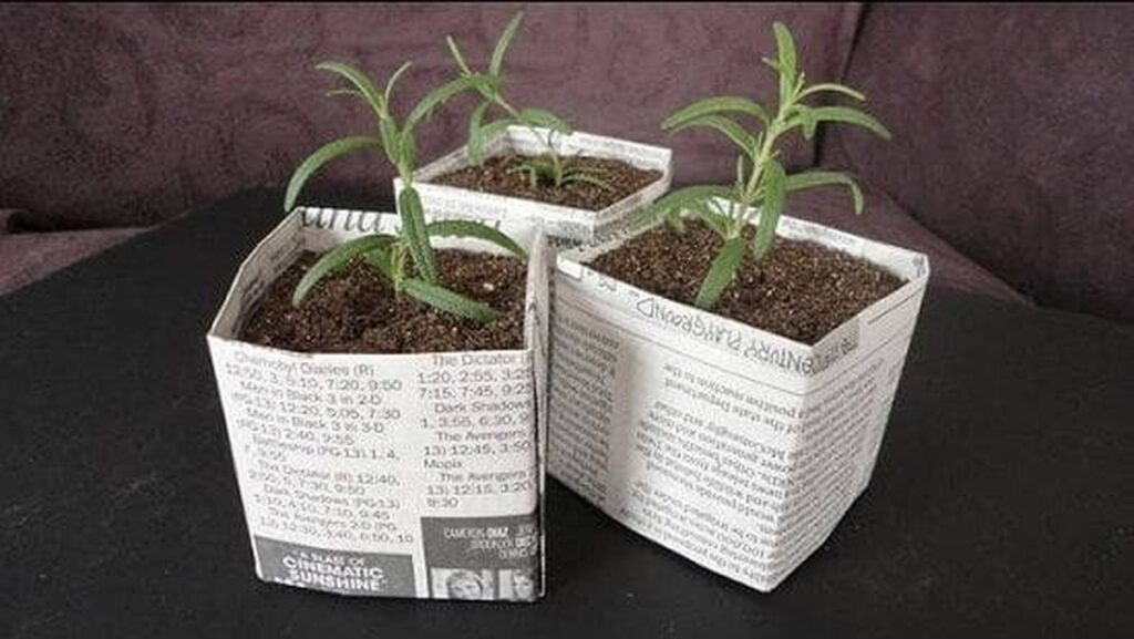 14 Charming Ways to Recycle Papers Into DIY Paper Plant Pots