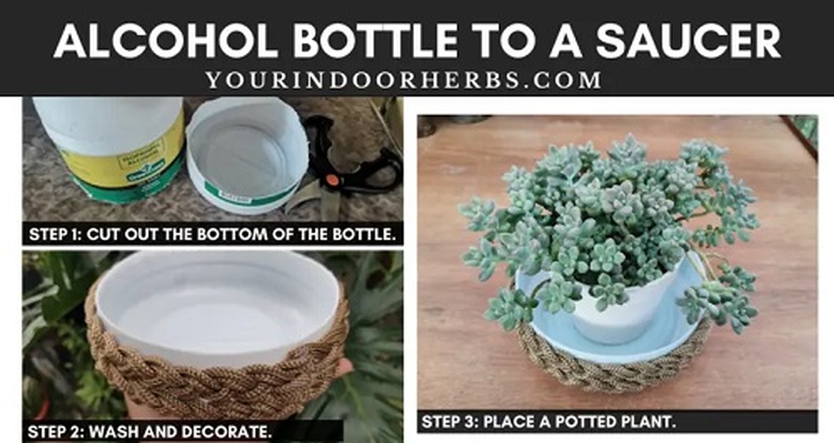 12 Clever DIY Plant Saucer Ideas That Protect Your Floors