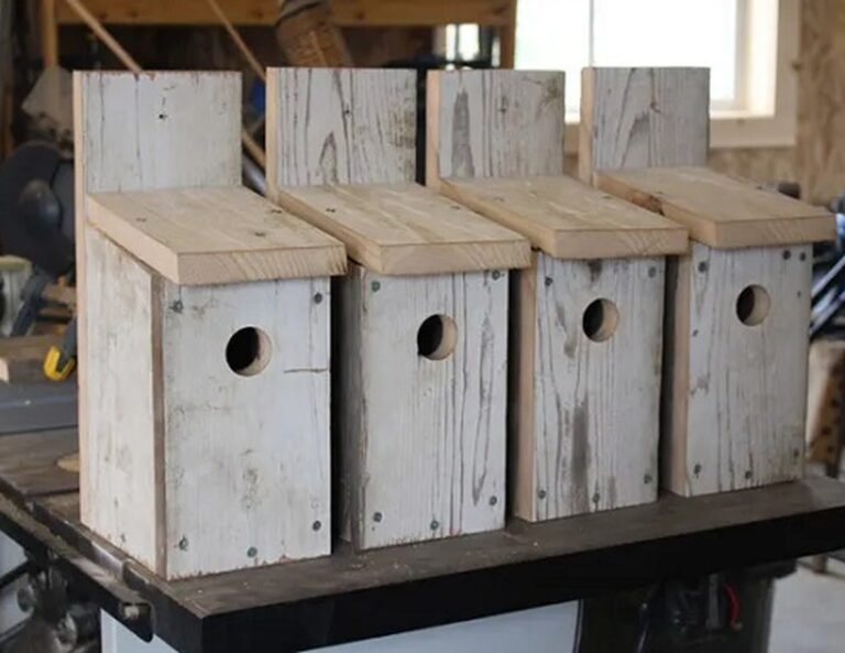 53 Charming DIY Birdhouse Ideas That Transform Your Garden