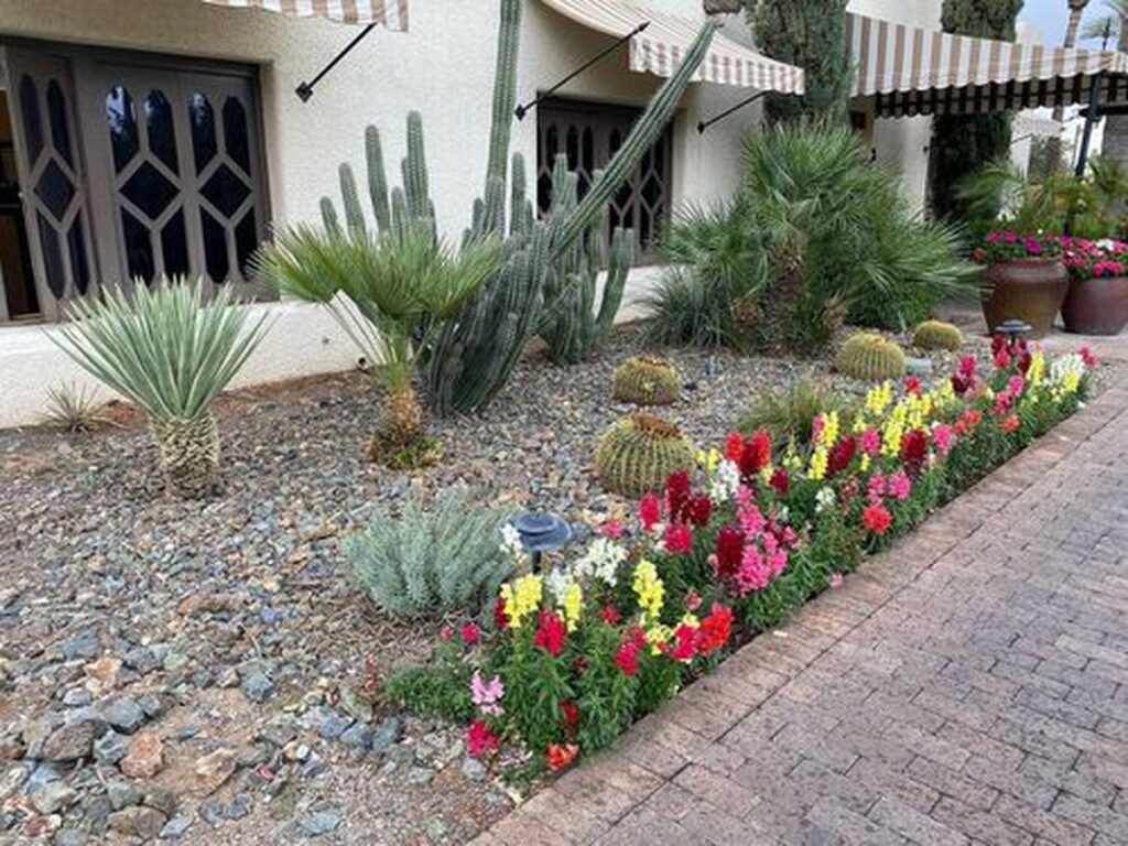 35 Stunning Desert Landscaping Ideas Pictures to Transform Your Yard