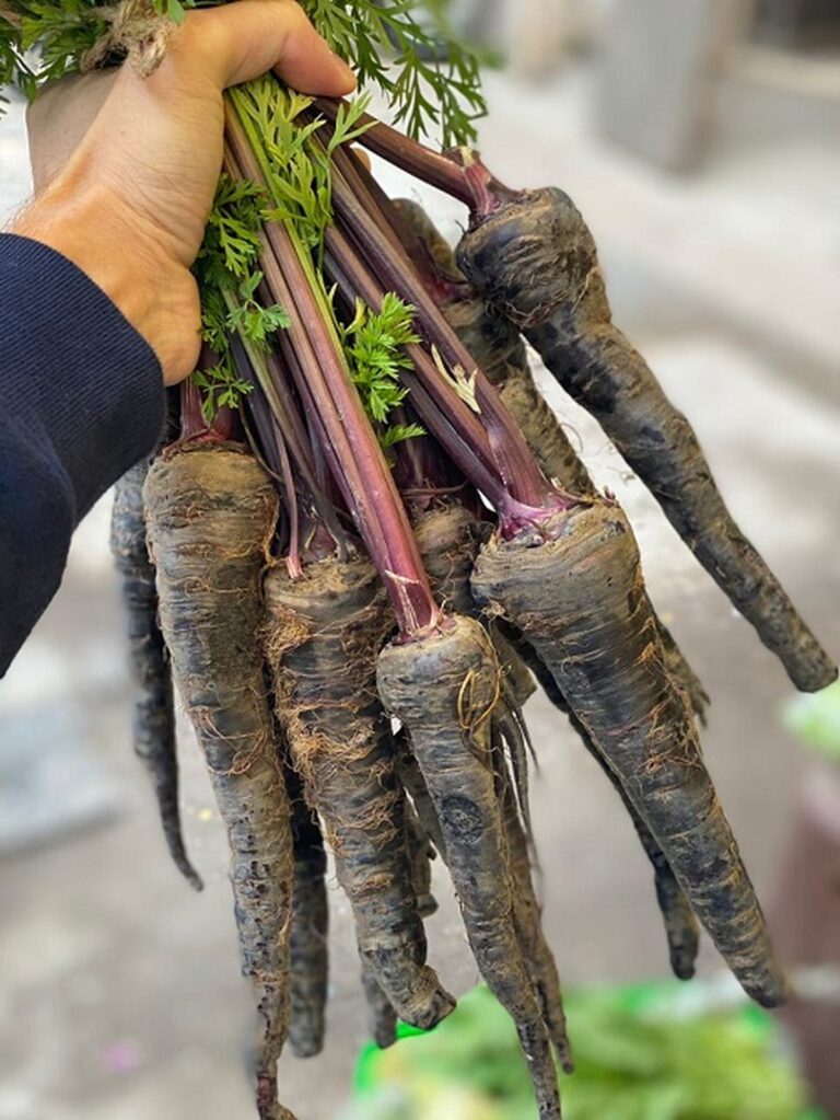 21 Stunning Black Vegetables to Grow in Your Garden