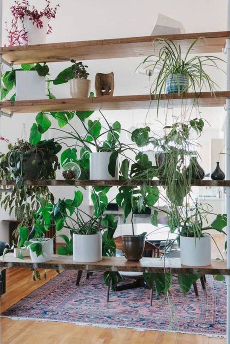 21 Gorgeous Indoor Plants Room Divider Ideas for Your Space