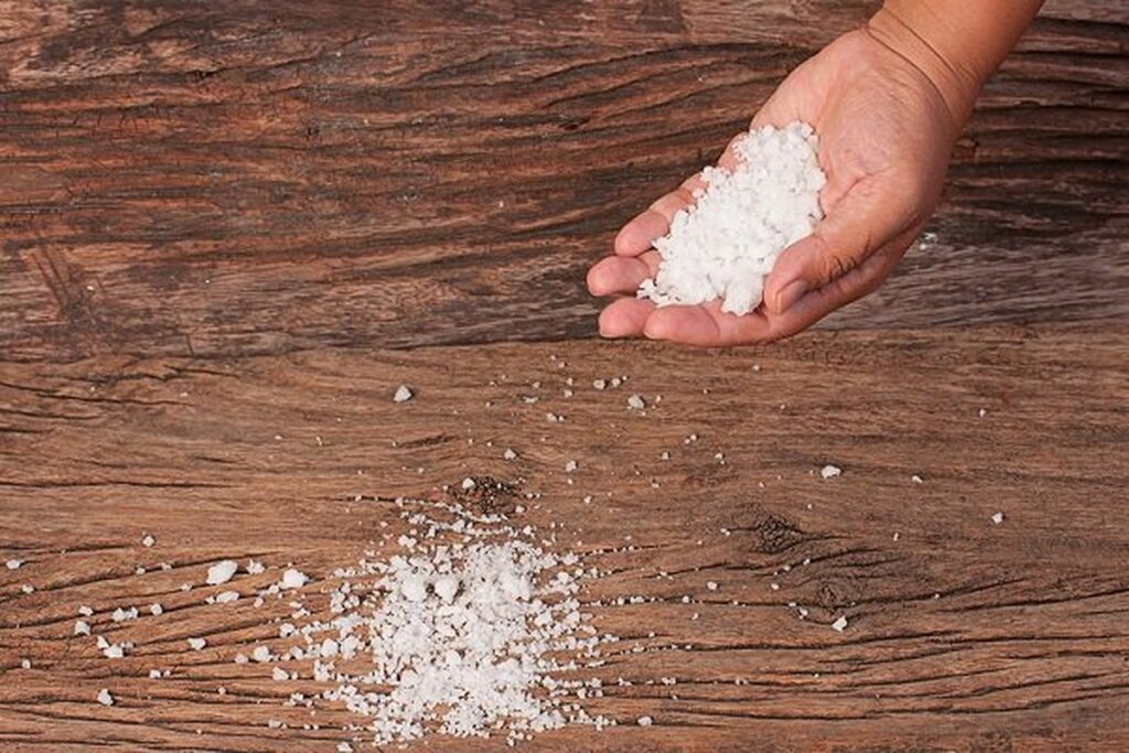 30 Effective Natural Home Remedies To Get Rid of Ants Today