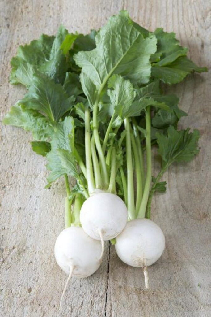 23 Delicious Types of Turnips: Best Varieties for Your Garden