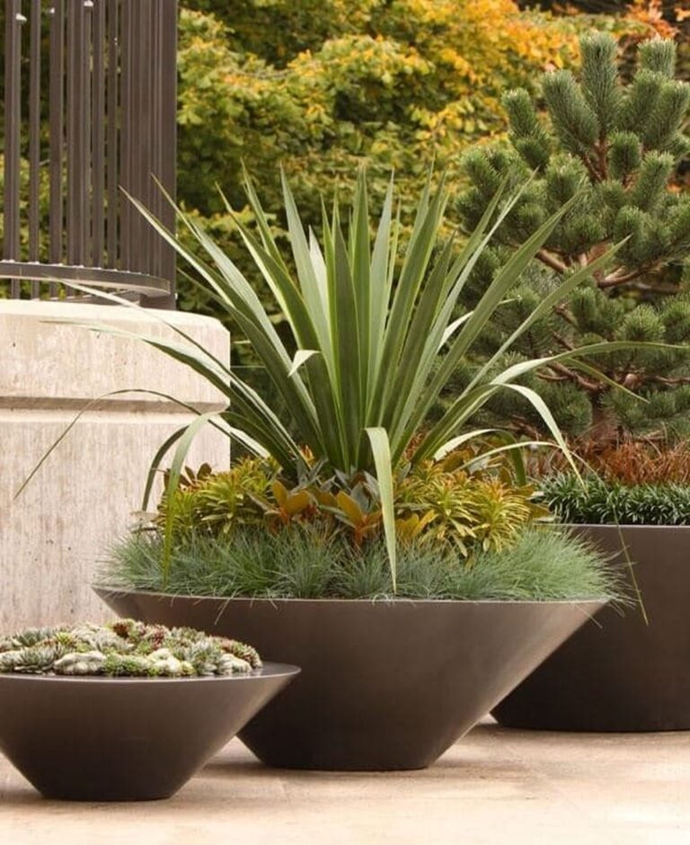 30 Stunning Architectural Plants Perfect for Container Gardening