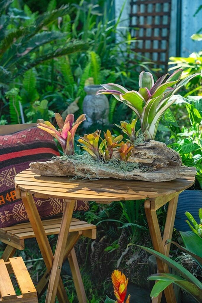 20 Gorgeous Coffee Table Plants To Grow Indoors Effortlessly