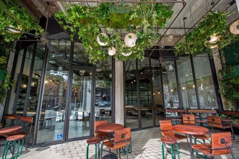 29 Stunning Plant Ceiling Ideas to Transform Your Space