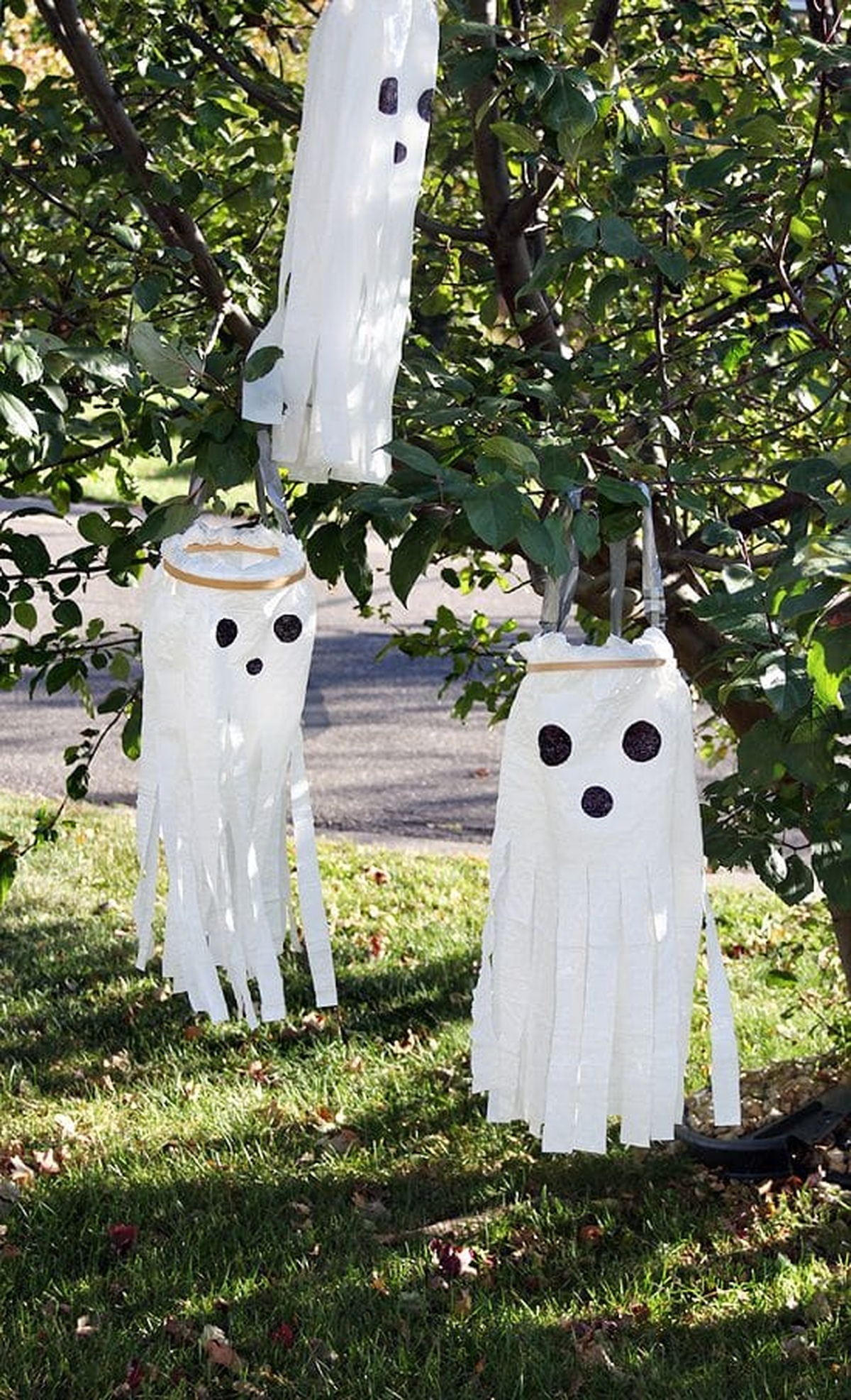 11 Clever DIY Uses Of Plastic Bags In The Garden For Beginners