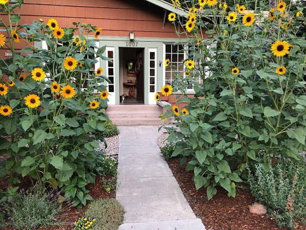 16 Gorgeous Sunflower Arrangement Ideas to Brighten Any Space