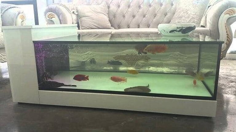 5 Awesome Ways to Repurpose An Old Fish Tank Today