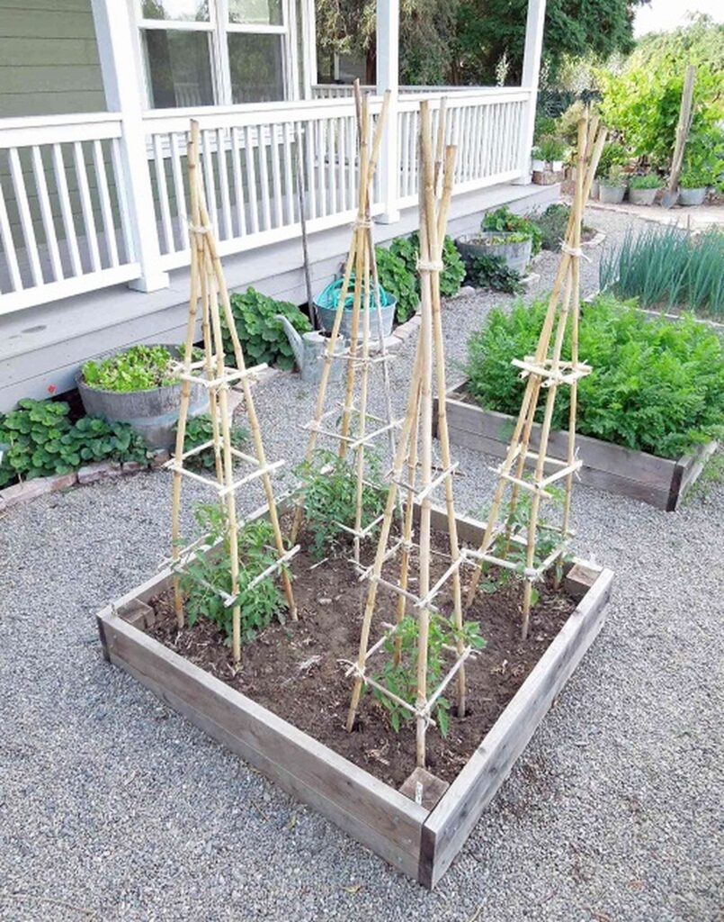 25 Genius Plant Support Ideas That Really Work