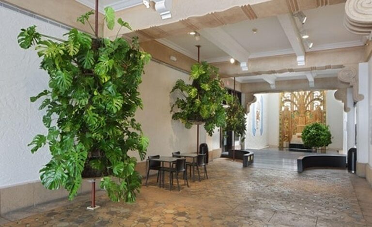13 Beautiful Statement Hotel Plants Perfect for Home Decor